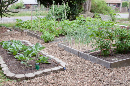 Thrifty Gardening Tip: Free Wood Chips! - Rake and Make
