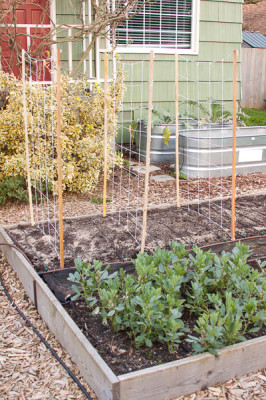 5 Trellis Ideas for Vining Vegetables - Rake and Make